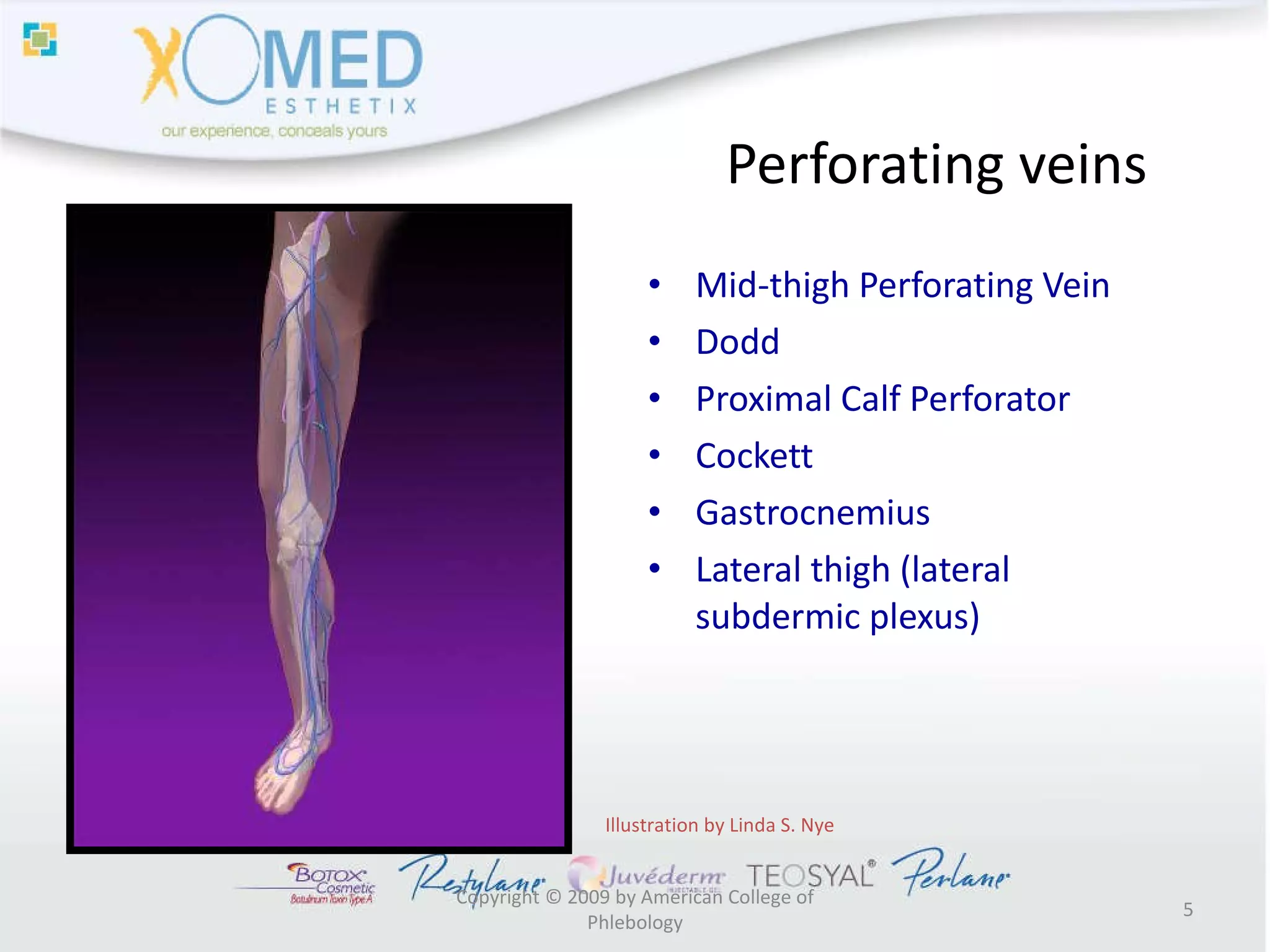 Jr veins anatomy and physiology | PPT