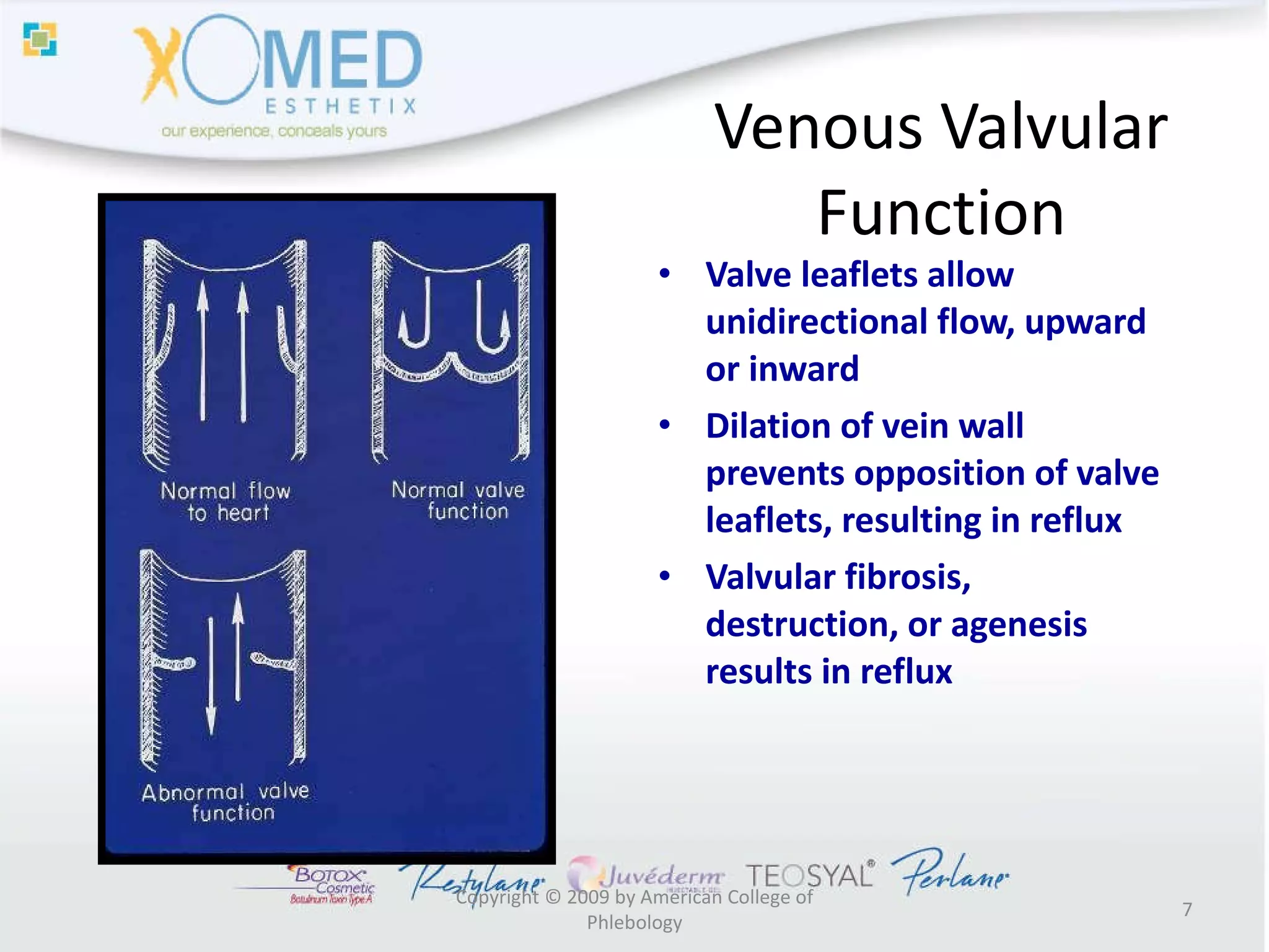 Jr veins anatomy and physiology | PPT