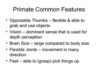 Evolution notes | PPT