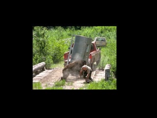 "How not to release a bear"- A simple presentation to show the ...