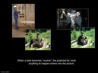 "How not to release a bear"- A simple presentation to show the ...