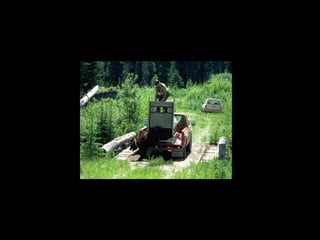 "How not to release a bear"- A simple presentation to show the ...