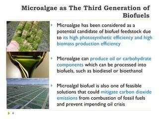 Jsc revised rifka-presentation for-990626_(revised[1] | PPT | Chemistry ...