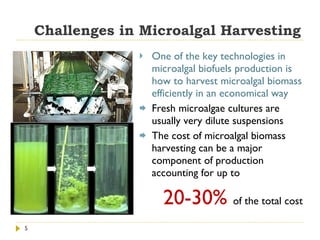 Jsc revised rifka-presentation for-990626_(revised[1] | PPT | Chemistry | Science