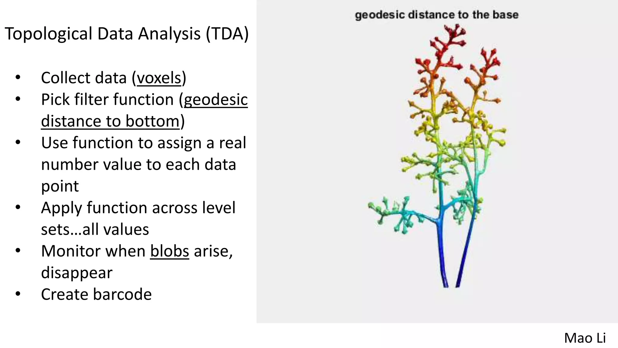 Topological Data Analysis (TDA) for volumetric X-ray CT data | PPTX