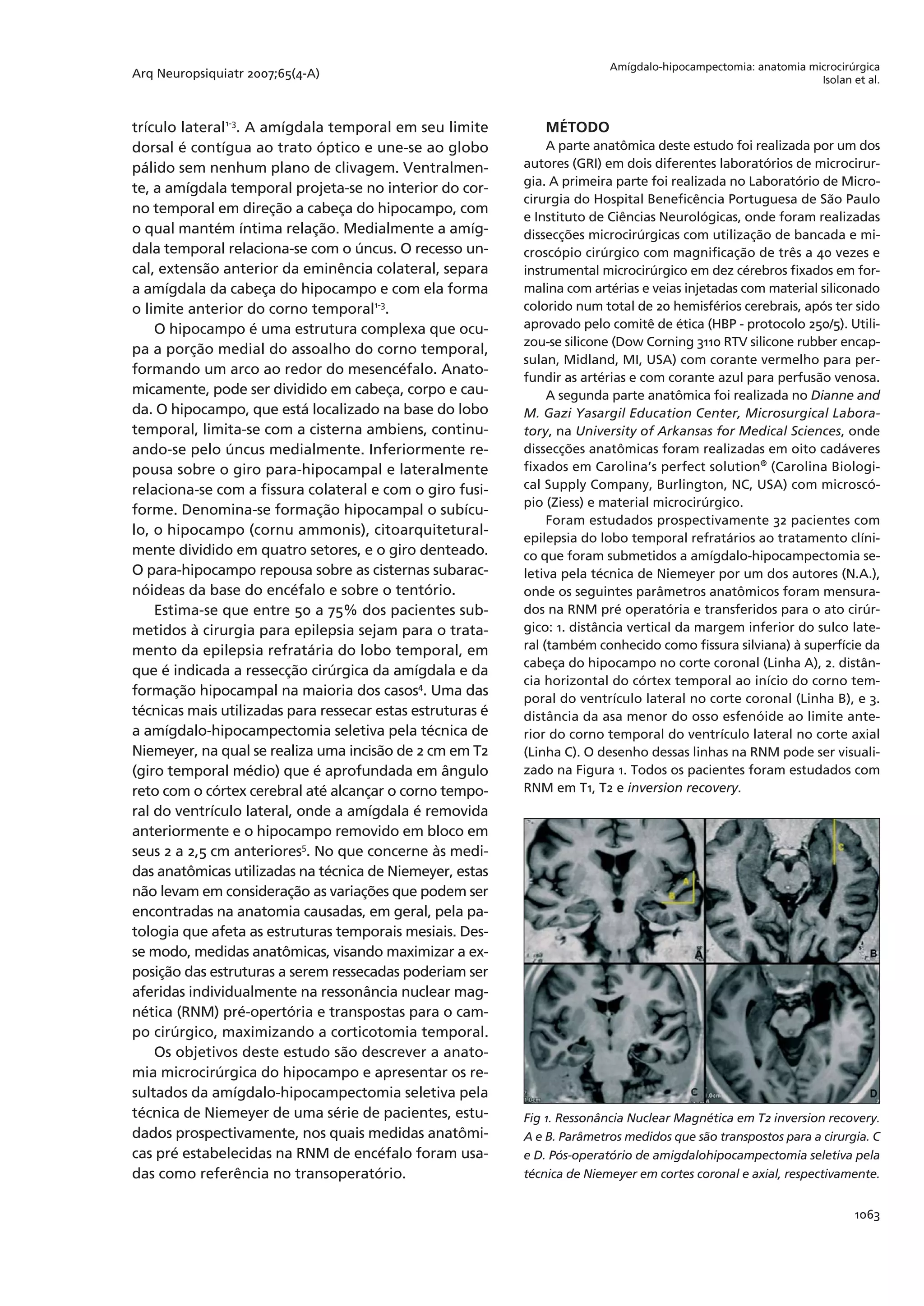 Ressonancia Magnetica Da Anatomia Do Hipocampo