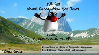 JSR381 Visual Recognition for Java.pdf