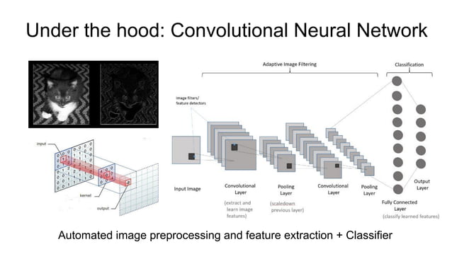 JSR381 Visual Recognition for Java.pdf
