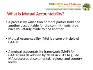 The JSR Experience and Scaling Up in East and Central Africa | PPT