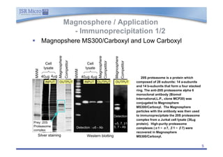 JSR life science product of Magnetic beads | PDF