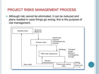 Project risk management | PPTX