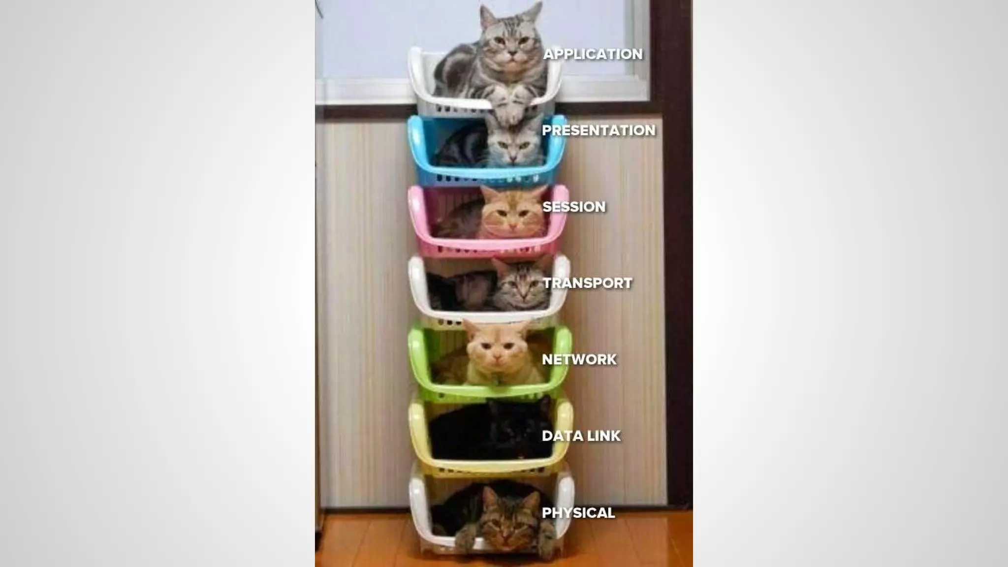 Socket.io under the hood | PPT