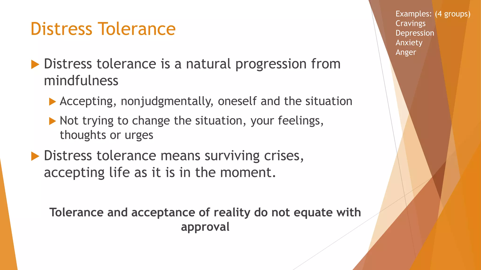 Distress Tolerance Skills and Activities | PPTX