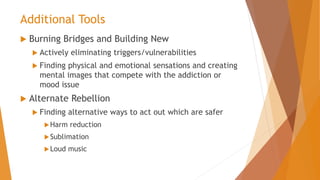 Distress Tolerance Skills and Activities | PPTX