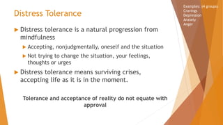 Distress Tolerance Skills and Activities | PPTX