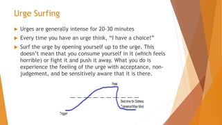 Distress Tolerance: Journey to Recovery Series | PPT