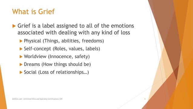 Grief and Loss | PPTX