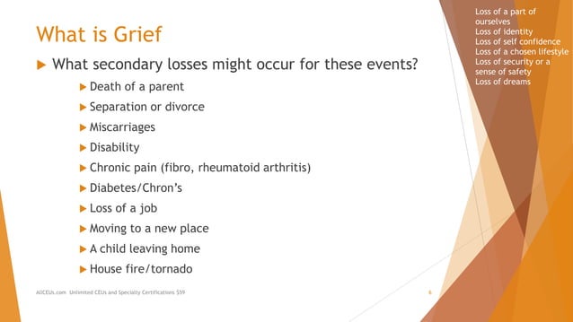 Grief and Loss | PPTX