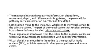 PHYSIOLOGY_OF_EYE.pptx