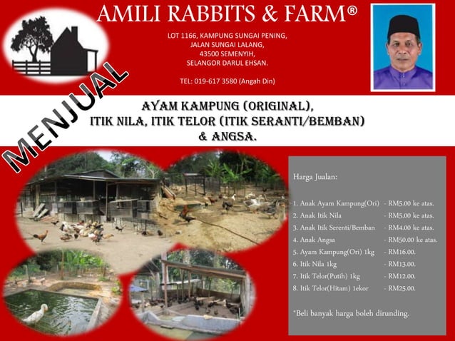 Nak Beli Ayam Kampung (Original), Itik Nila, Itik Telor (Itik Seranti ...