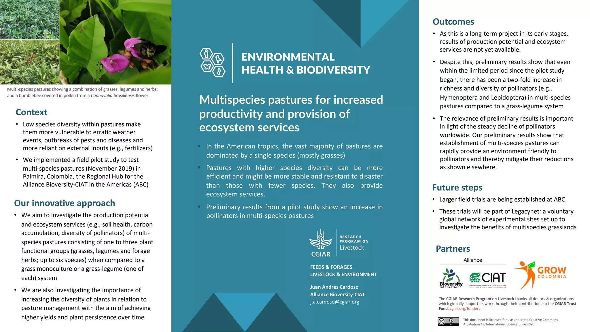 Multispecies pastures for increased productivity and provision of ...