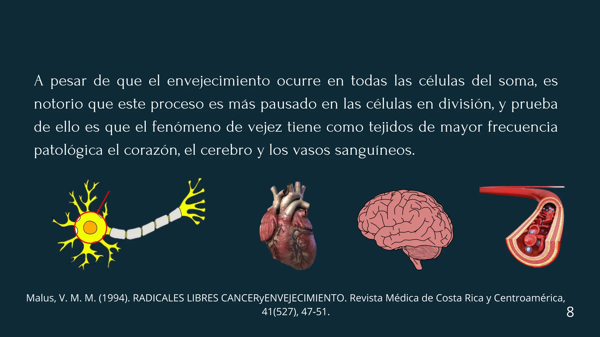 Teoría de los radicales libres ( Denham harman, 1956) | PDF