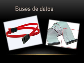 buses de datos | PPTX