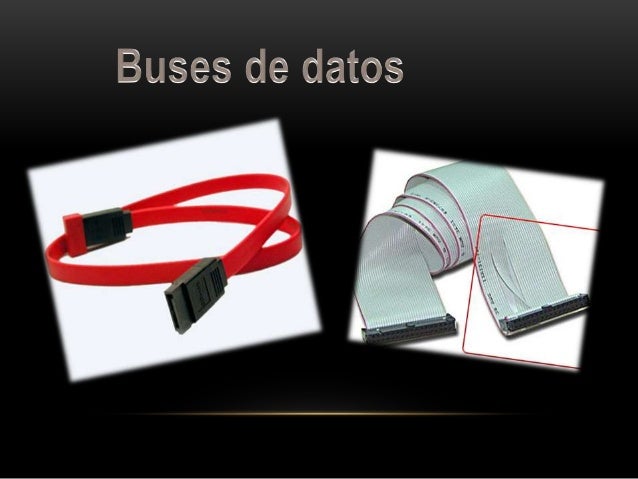 buses de datos