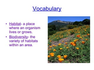 Jt's powerpoint | PPT