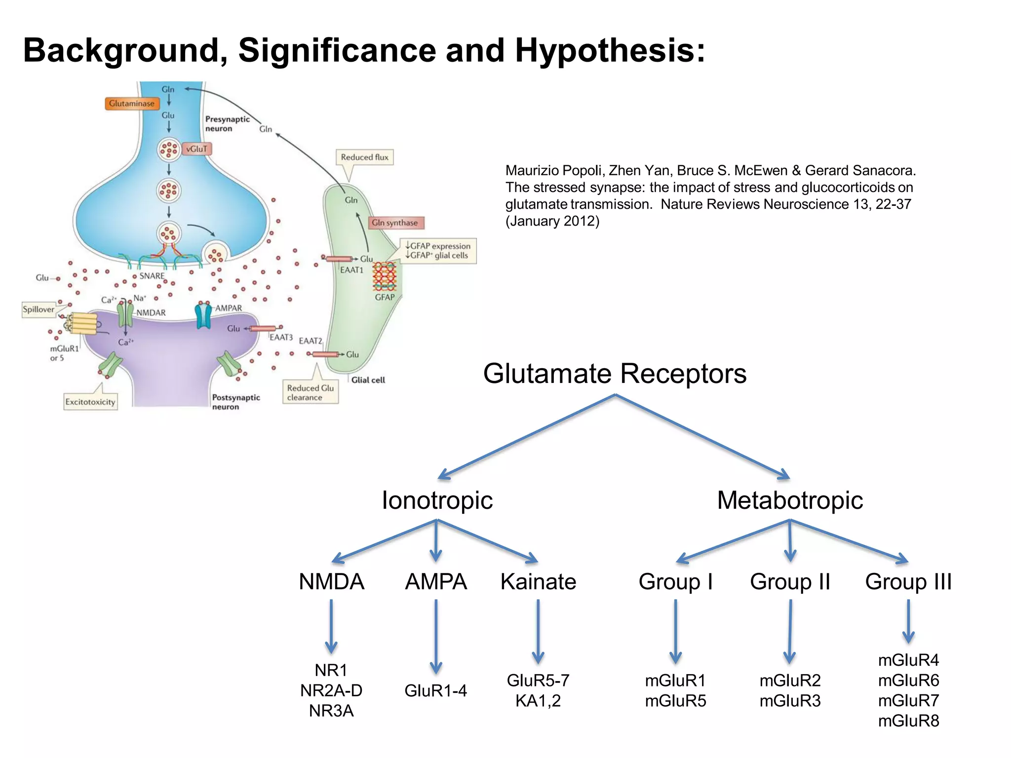 In Silico discovery of Metabotropic Glutamate Receptor-3 (mGluR-3 ...