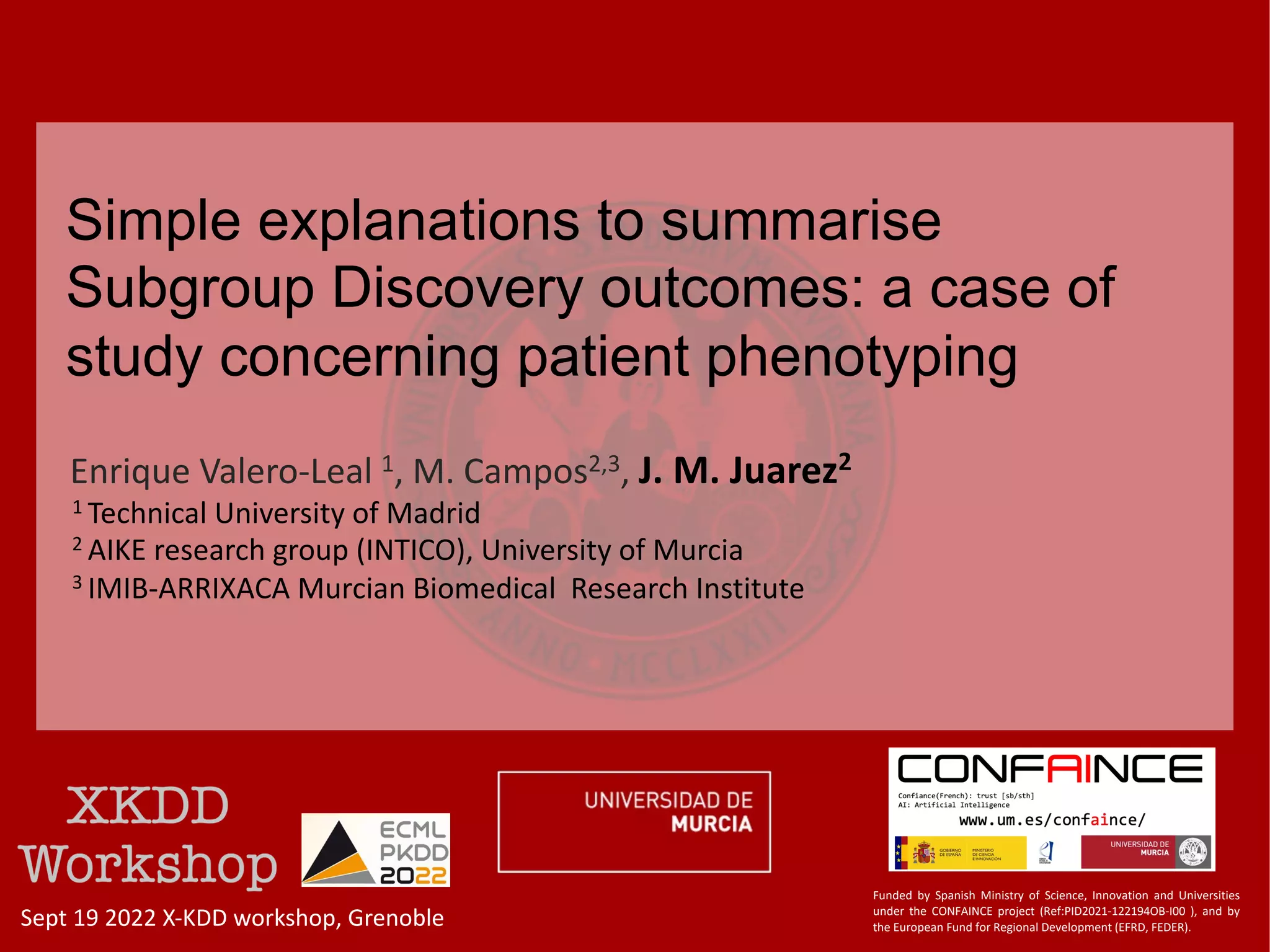 Simple explanations to summarise Subgroup Discovery outcomes: a case of ...