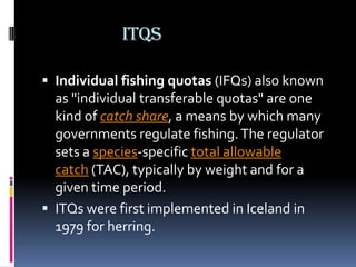 INDIVIDUAL TRANSFERABLE QUATA SYSTEM | PPT
