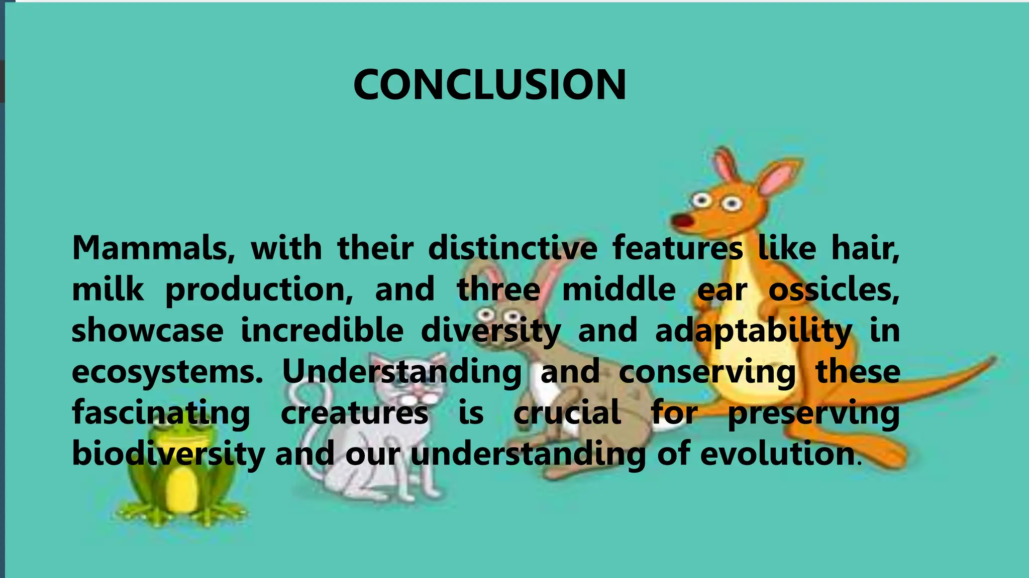 Characteristics and classification of mammals.pptx