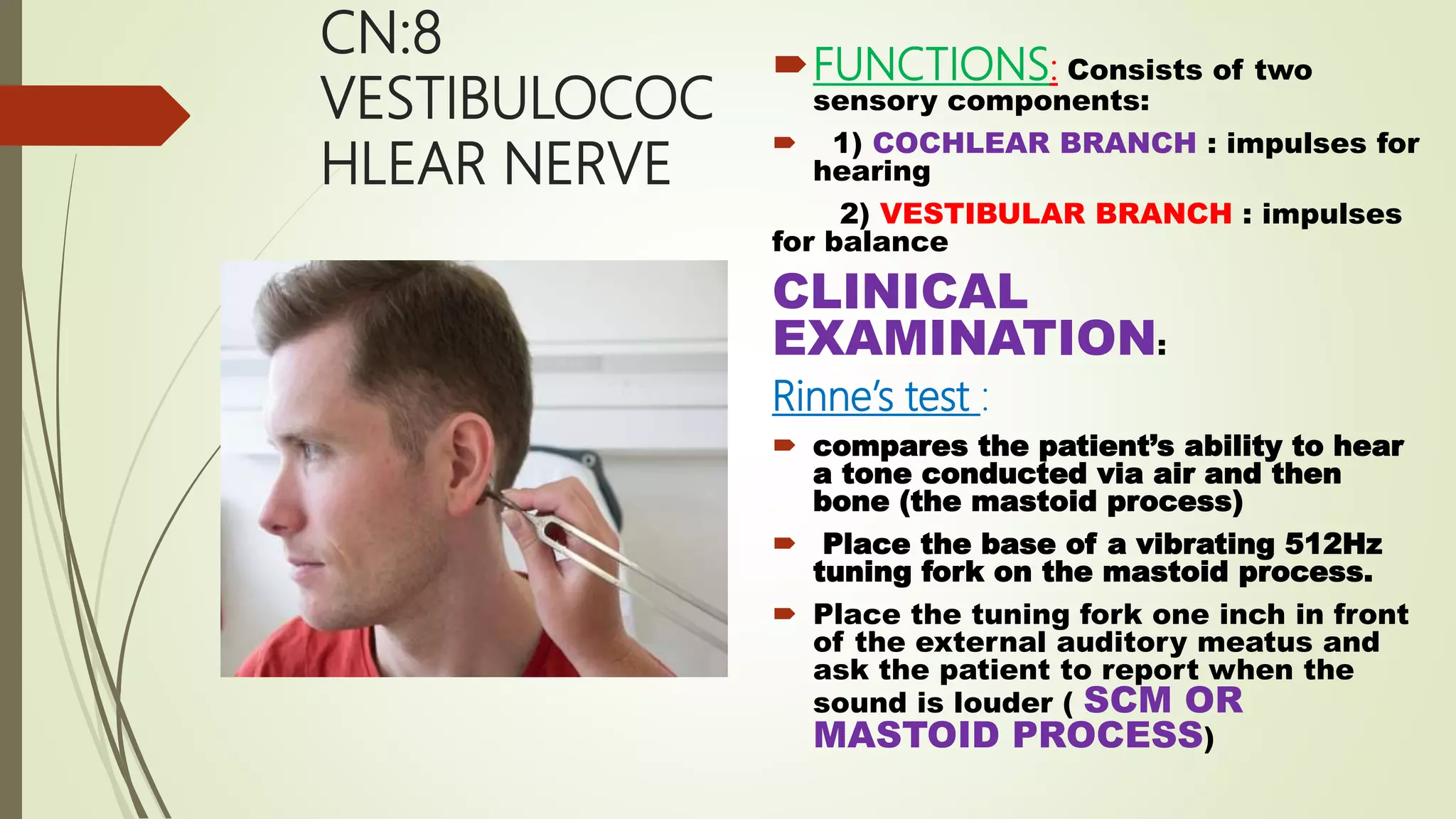 CRANIAL NERVE EXAMINATION | PPTX
