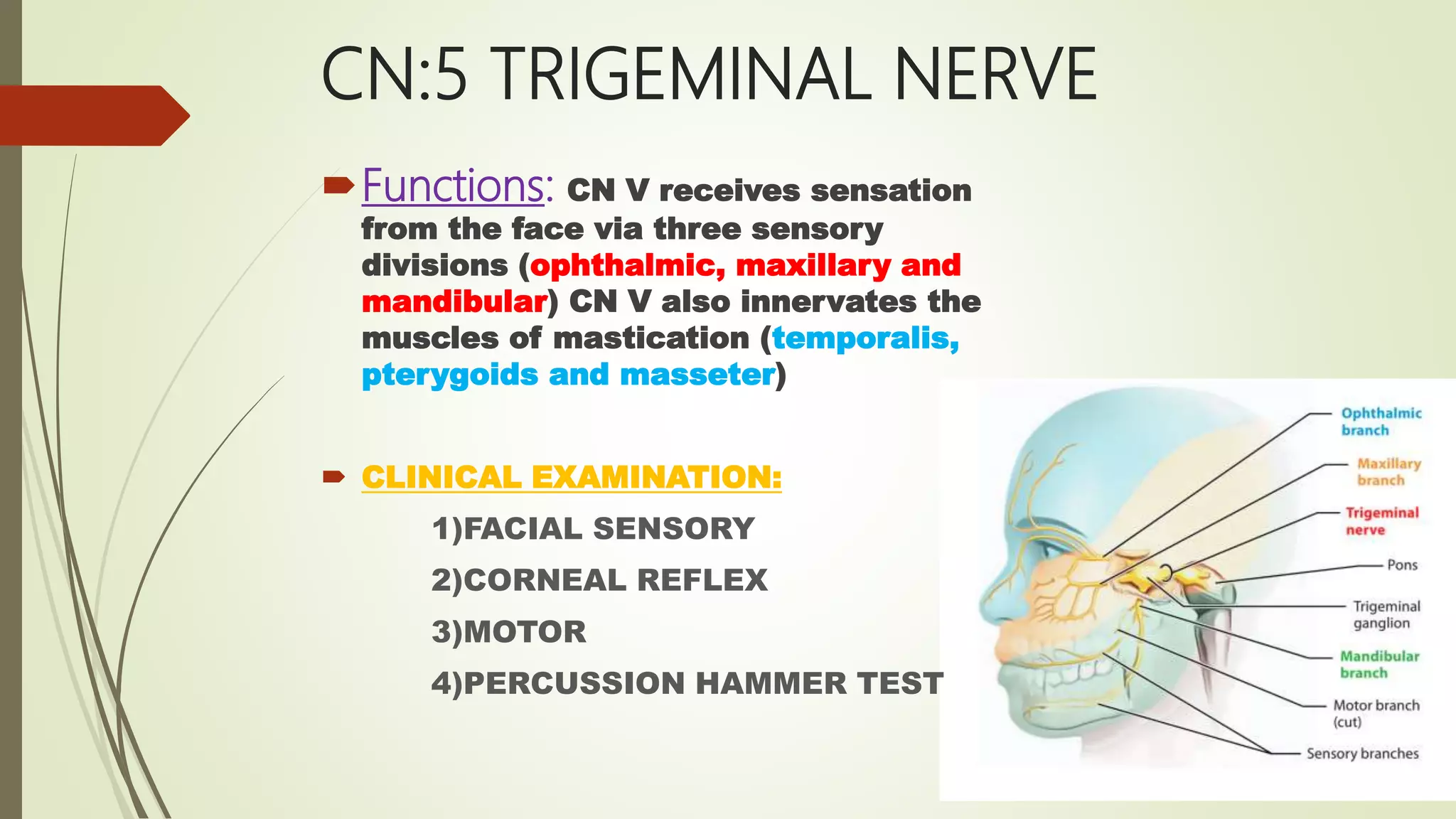 CRANIAL NERVE EXAMINATION | PPTX