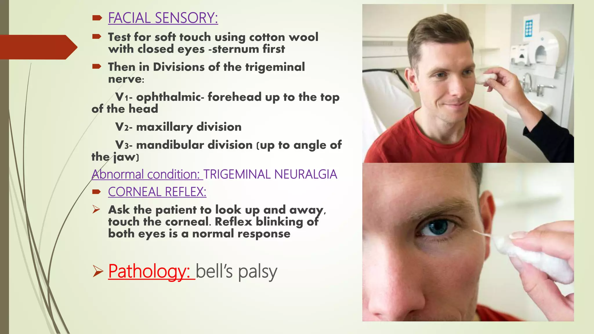 CRANIAL NERVE EXAMINATION | PPTX | Eye and Vision Conditions | Diseases ...