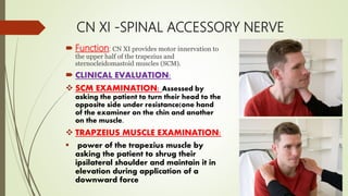 CRANIAL NERVE EXAMINATION | PPTX | Eye and Vision Conditions | Diseases ...