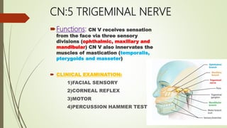 CRANIAL NERVE EXAMINATION | PPTX | Eye and Vision Conditions | Diseases ...