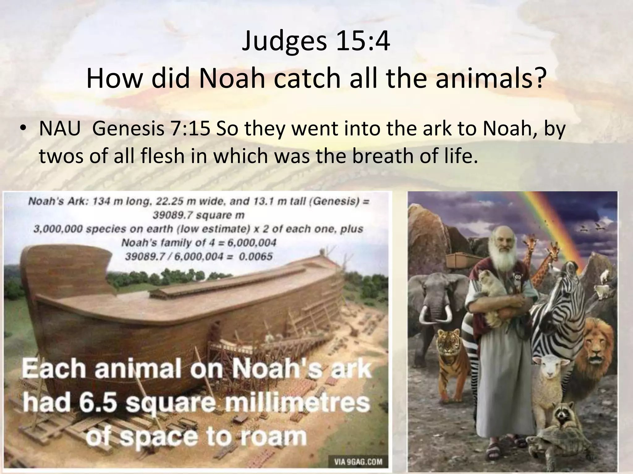 Judges 15-16, How did Noah catch all the animals?; God's Judgment ...