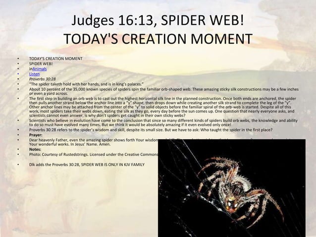 Judges 15-16, How did Noah catch all the animals?; God's Judgment ...