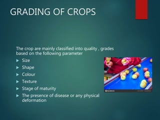Judging and valving crop grading of farm products | PPTX