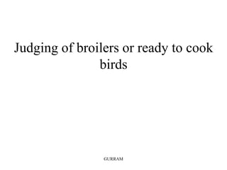 Judging of broilers or ready to cook birds | PPT | Birds | Pets