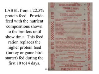 Judging of broilers or ready to cook birds | PPT | Birds | Pets