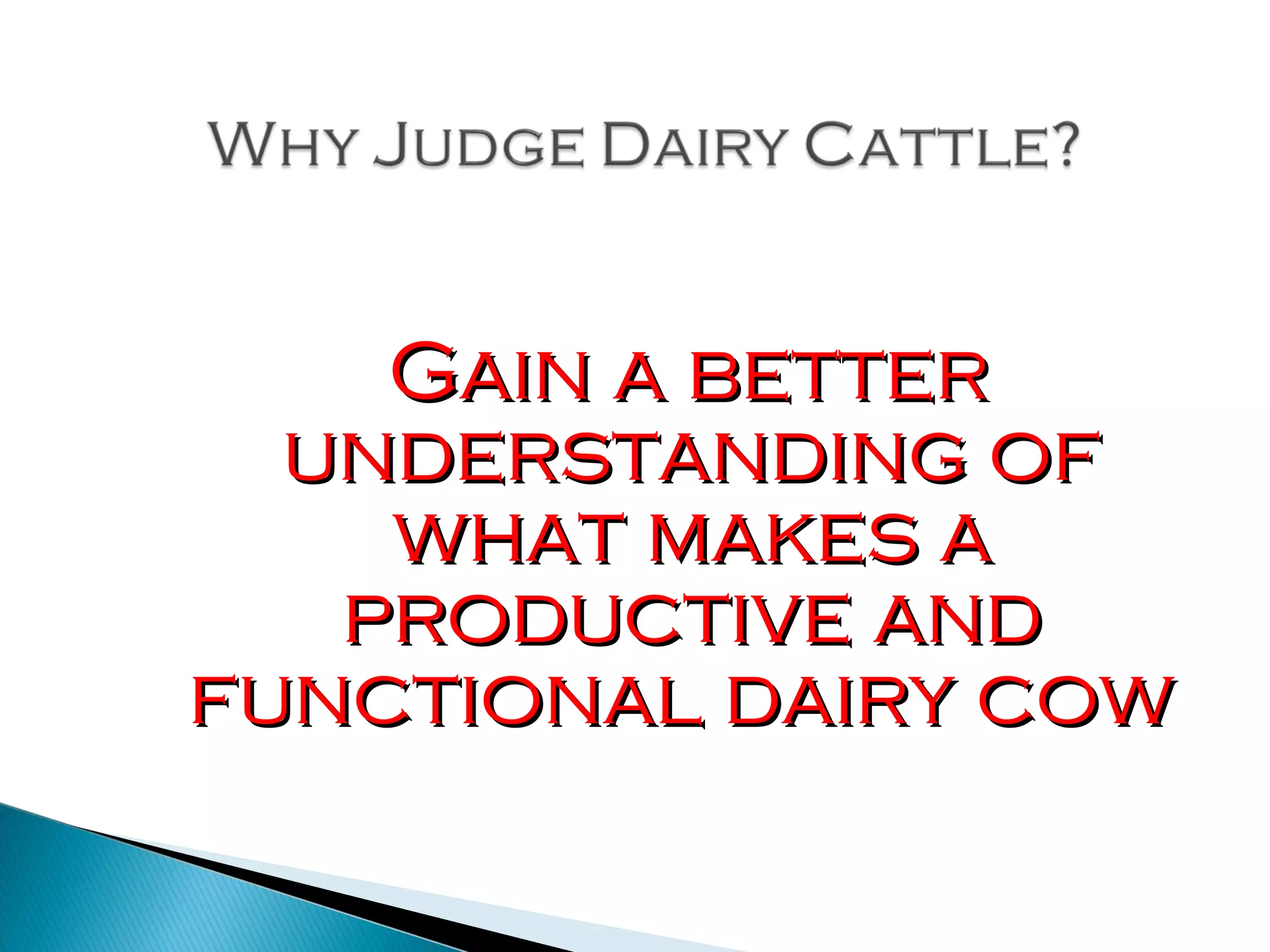 Judging dairy animals | PPT
