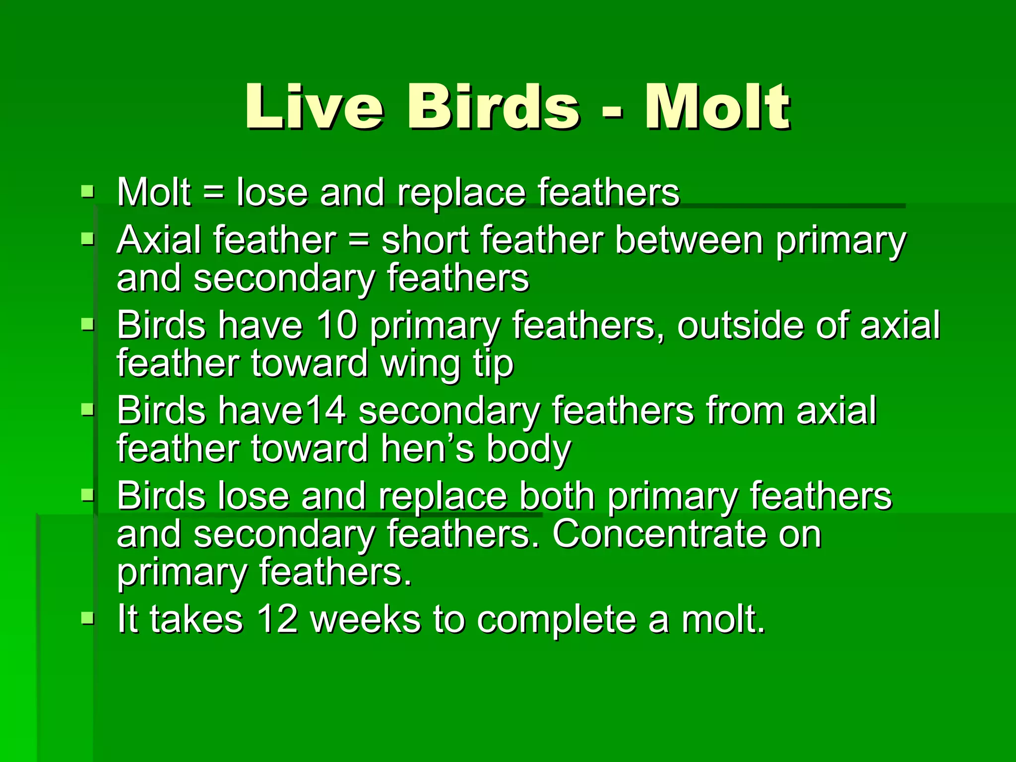 Judging of poultry | PDF