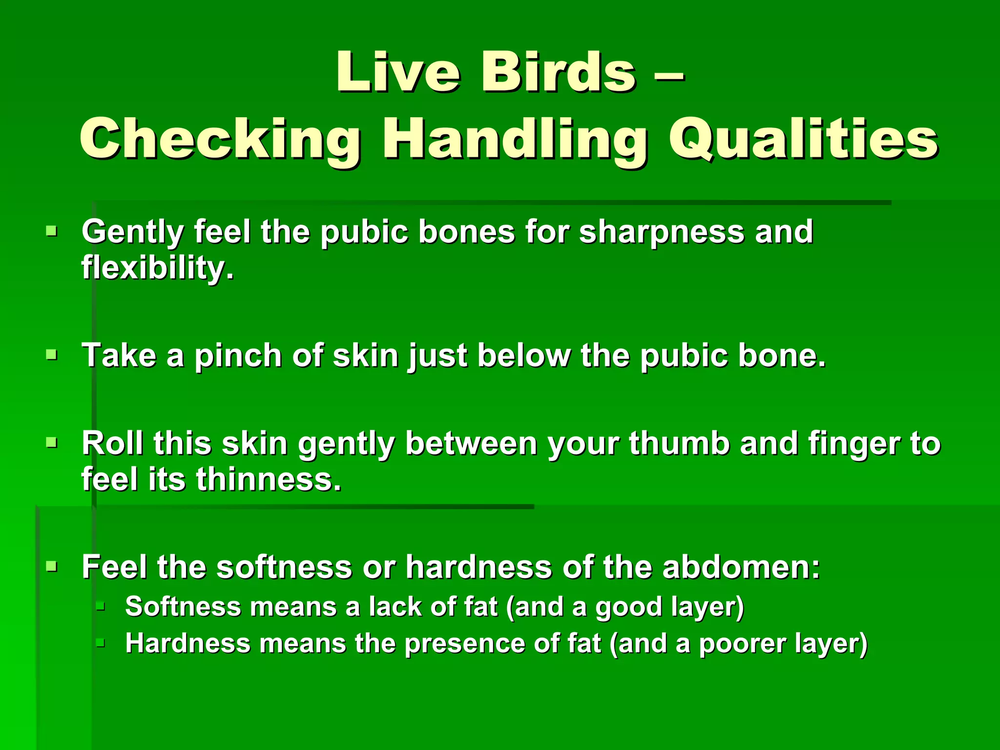 Judging of poultry | PDF