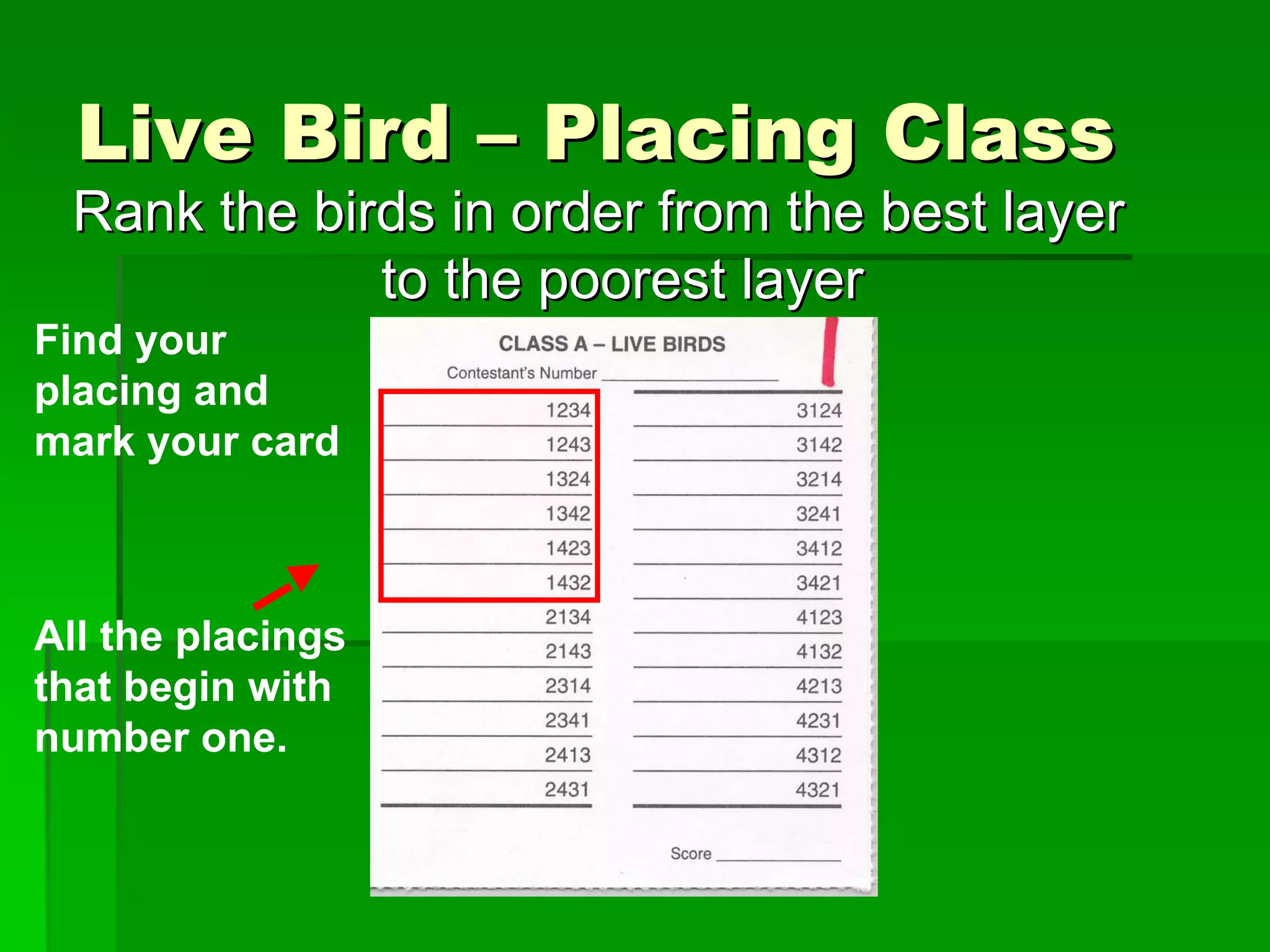Judging of poultry | PDF