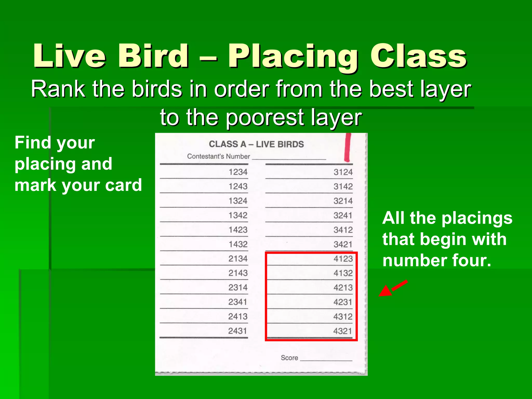 Judging of poultry | PDF