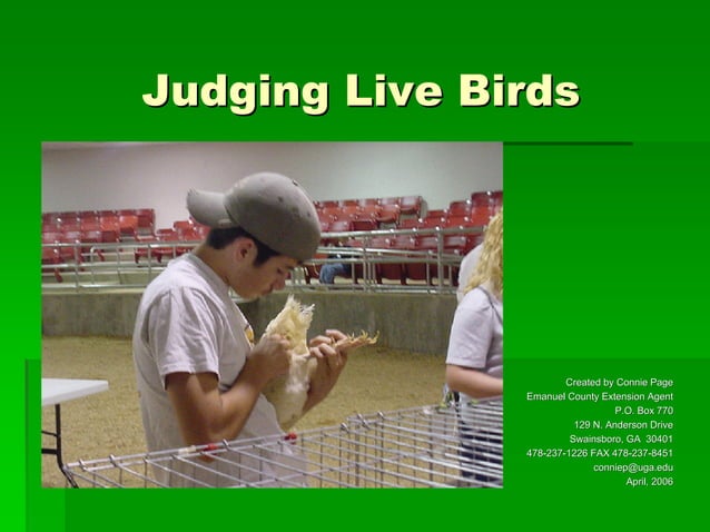 Judging of poultry | PDF