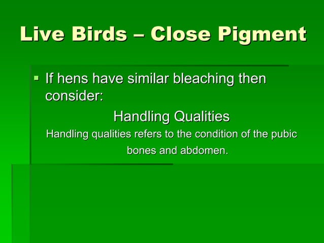 Judging of poultry | PDF